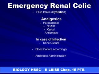 Kidney Stones HSSC II LBISE Chap. 15 | PPT