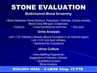 Kidney Stones HSSC II LBISE Chap. 15 | PPT