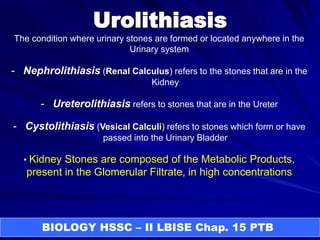 Kidney Stones HSSC II LBISE Chap. 15 | PPT
