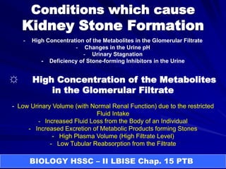 Kidney Stones HSSC II LBISE Chap. 15 | PPT