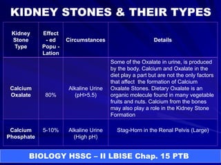 Kidney Stones HSSC II LBISE Chap. 15 | PPT