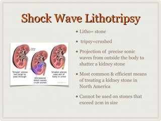 Kidneystonesmichelbeyan4 | PPT