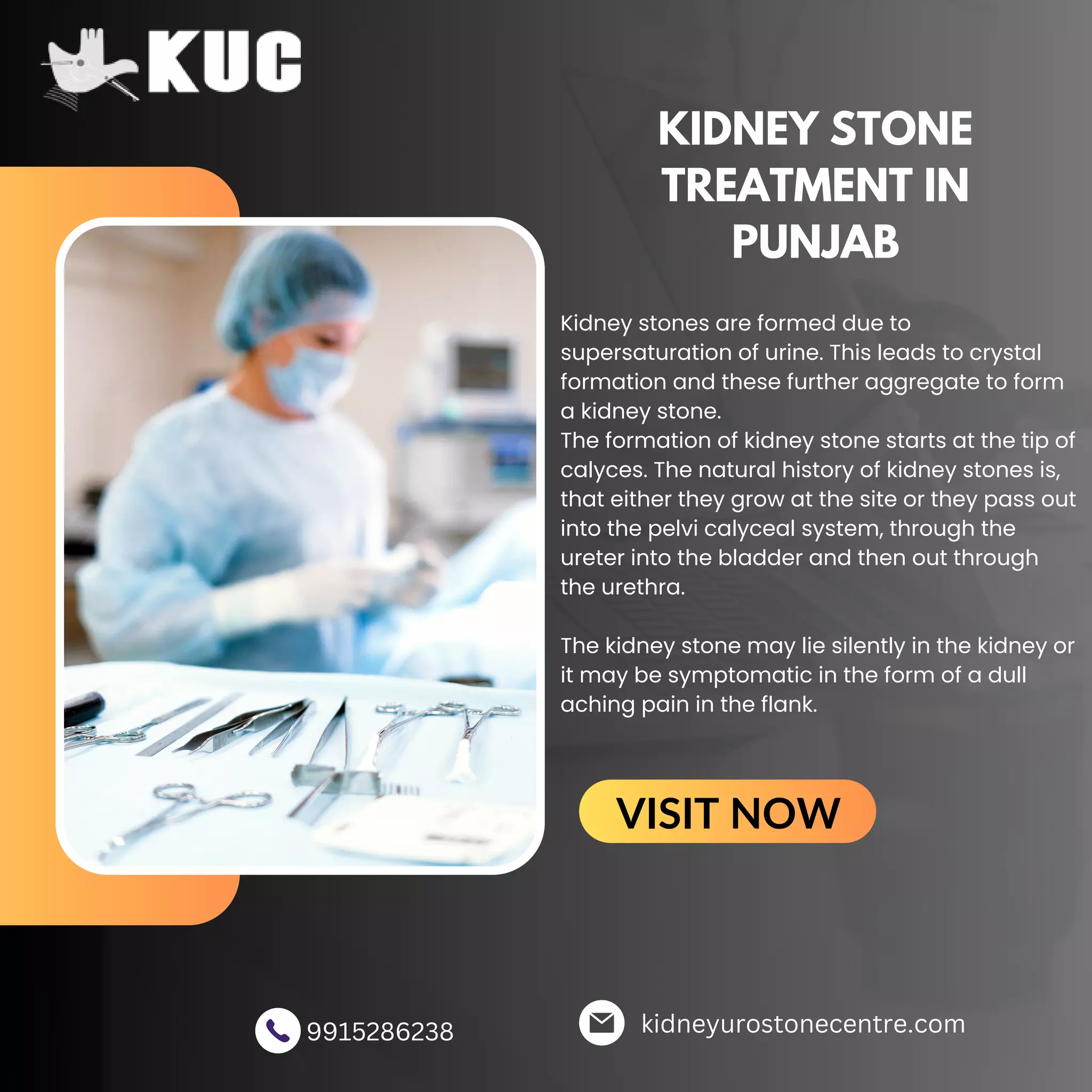 Kidney Stone Treatment in Punjab | PDF