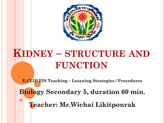 Kidney structure and function mee | PDF