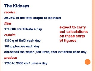 Kidney structure and function mee | PDF