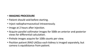 Kidney studies1111111111111111111111.ppt | Chemistry | Science