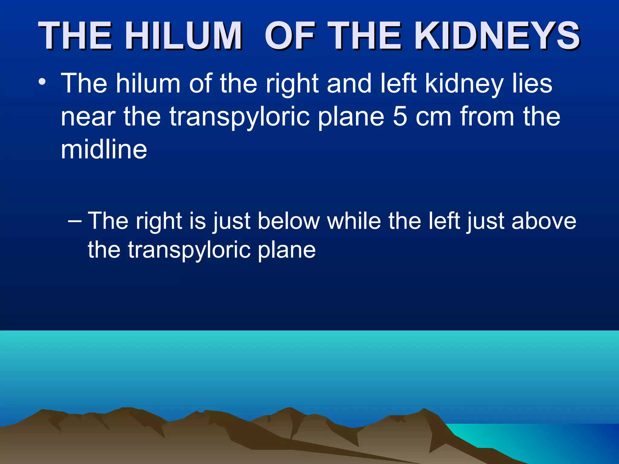 Kidneys, ureters and suprarenal glands | PPT
