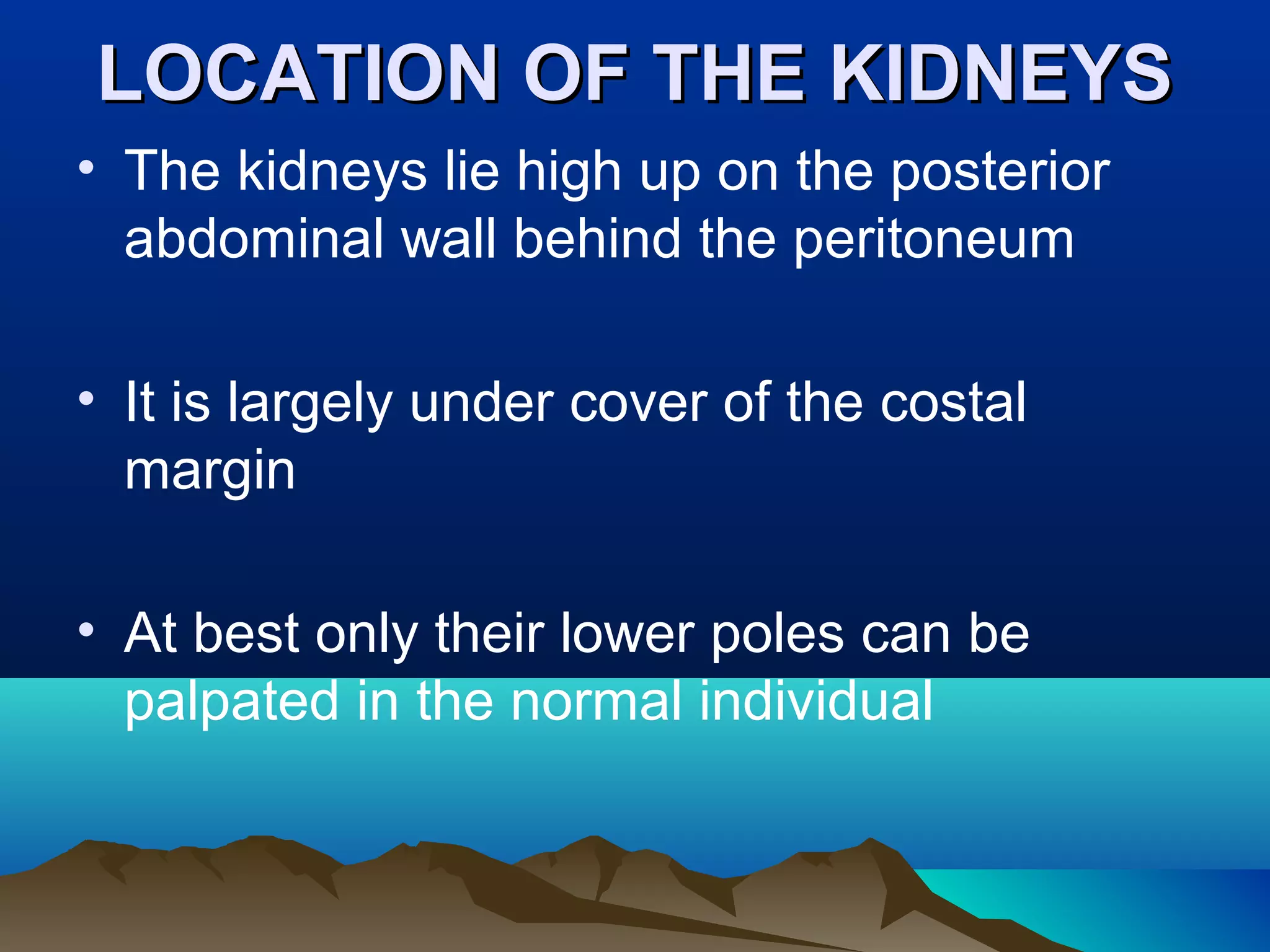 Kidneys, ureters and suprarenal glands | PPT