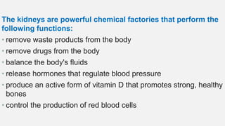 The Nursing care after the kidney surgery | PPTX