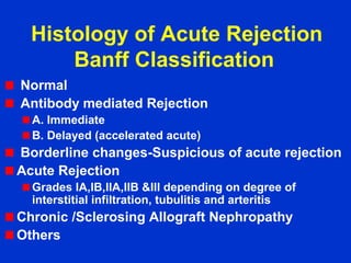 Management of Renal Transplant Patients | PPT