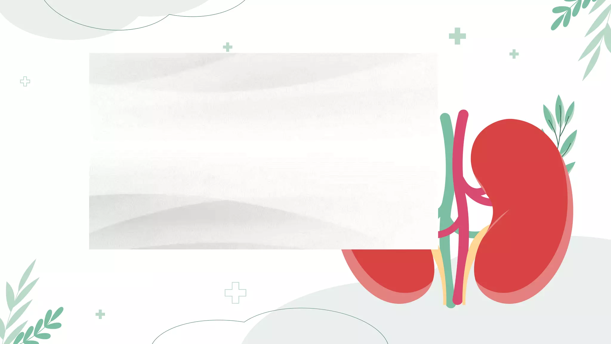 Kidney Transplant Clinical Case by Slidesgo.pptx