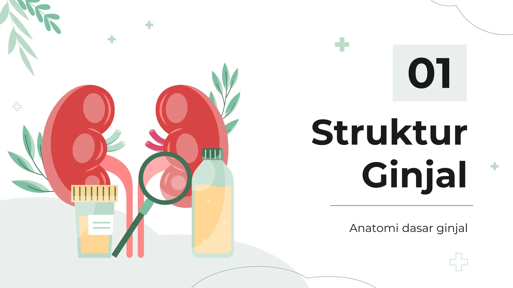 sistem ekskresi ginjal pada manusia dan kelainannya | PPT