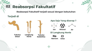 sistem ekskresi ginjal pada manusia dan kelainannya | PPT