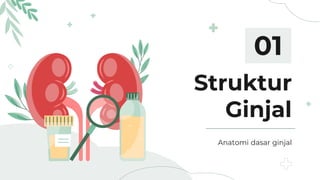 sistem ekskresi ginjal pada manusia dan kelainannya | PPT