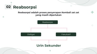 sistem ekskresi ginjal pada manusia dan kelainannya | PPT