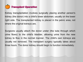 Kidney transplant process for children | PPT