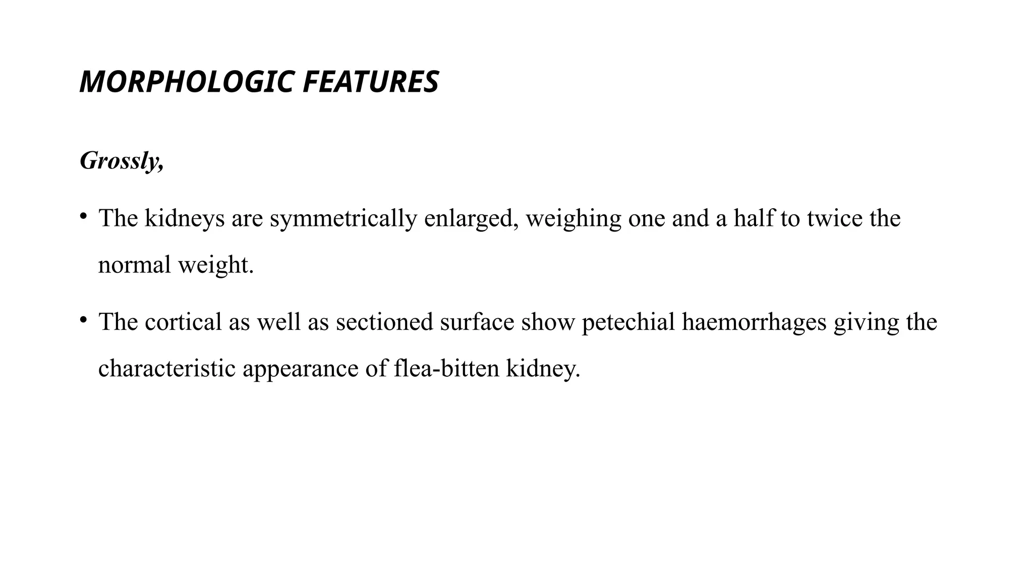 KIDNEY & URINARY TRACT pathology (1).pptx