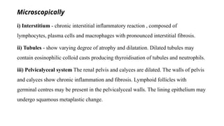 KIDNEY & URINARY TRACT pathology (1).pptx