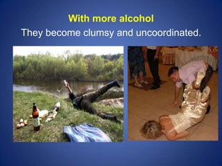 Kids and alcohol for grades 5, 6, 7 and 8 | PPTX