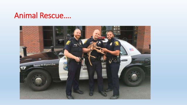 Kids powerpoint presentation of What Police do | PPTX