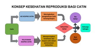 Kie_kespro_bagi_catin kjihnjnjnnnnjh.pptx