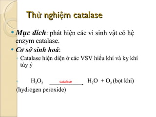 Kiem Nghiem Vi Sinh Vat (part1) | PPT