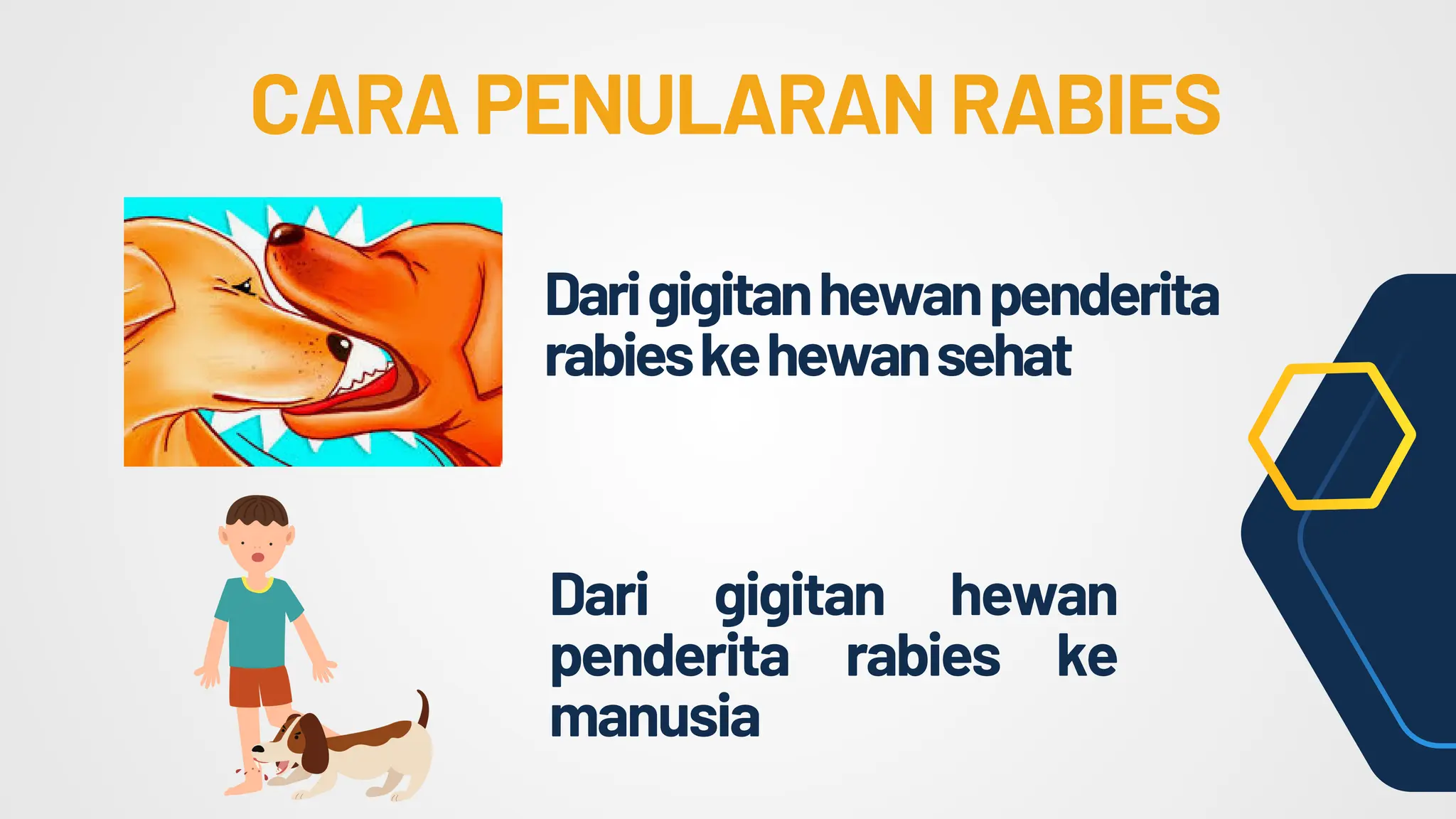 Komunikasi, Informasi dan Edukasi RABIES SEKOLAH DASAR.pdf