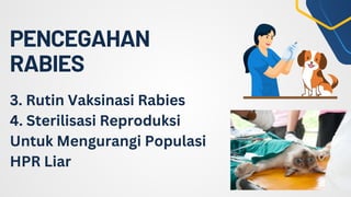 Komunikasi, Informasi dan Edukasi RABIES SEKOLAH DASAR.pdf