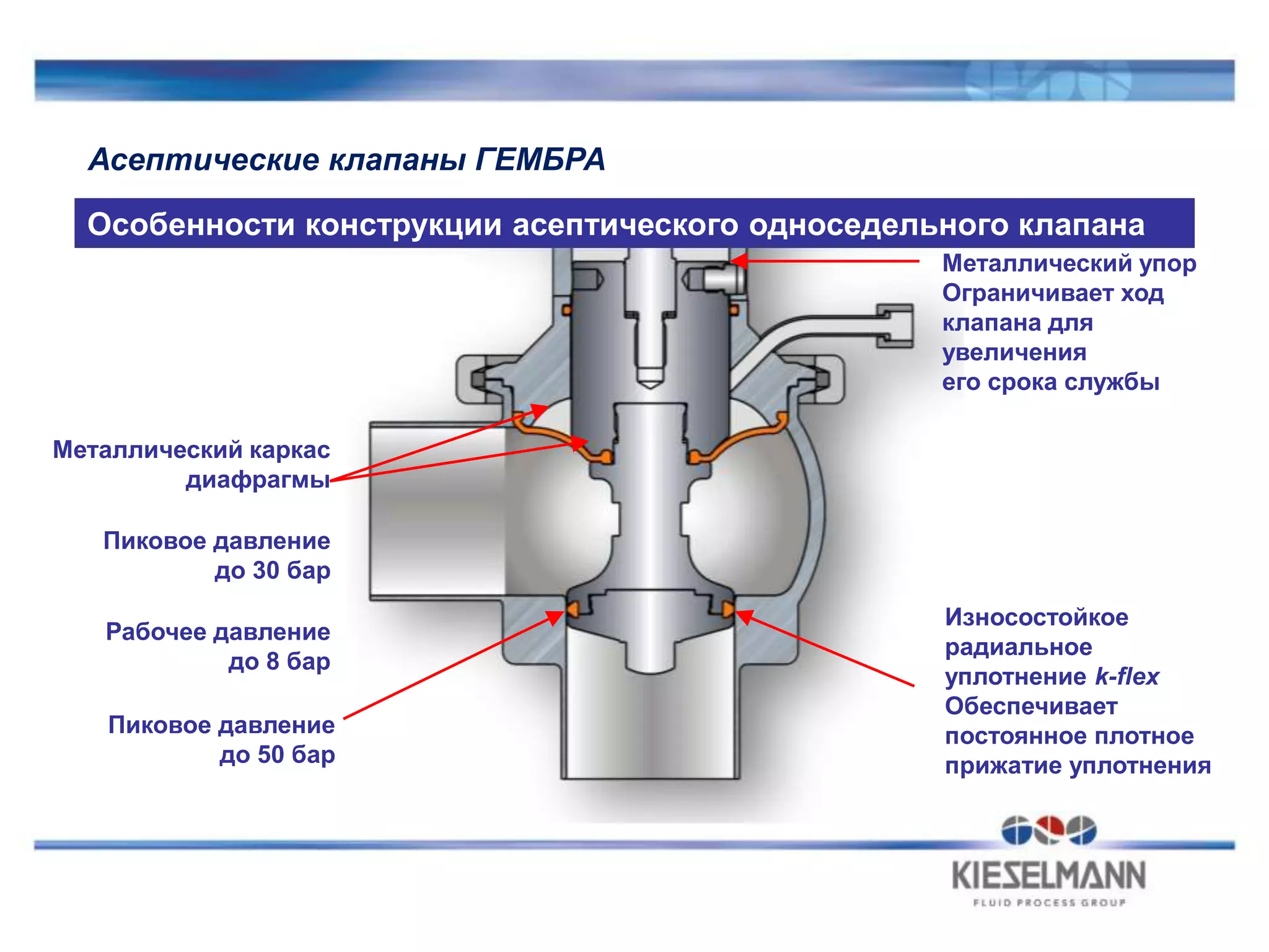 Kieselmann pigging systems | PPT