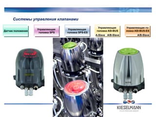 Kieselmann pigging systems | PPT