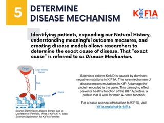 KIF1A.ORG Path to Treatment | PDF
