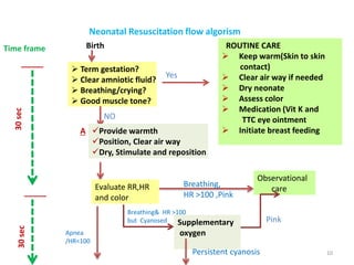Kiflom Neonatal Resusitation (1).pptx