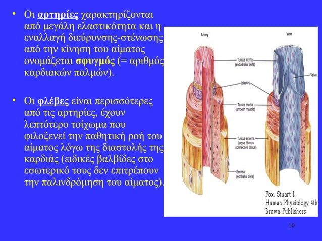 Kikloforiko sistima | PPT