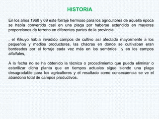 KIKUYO.ppt