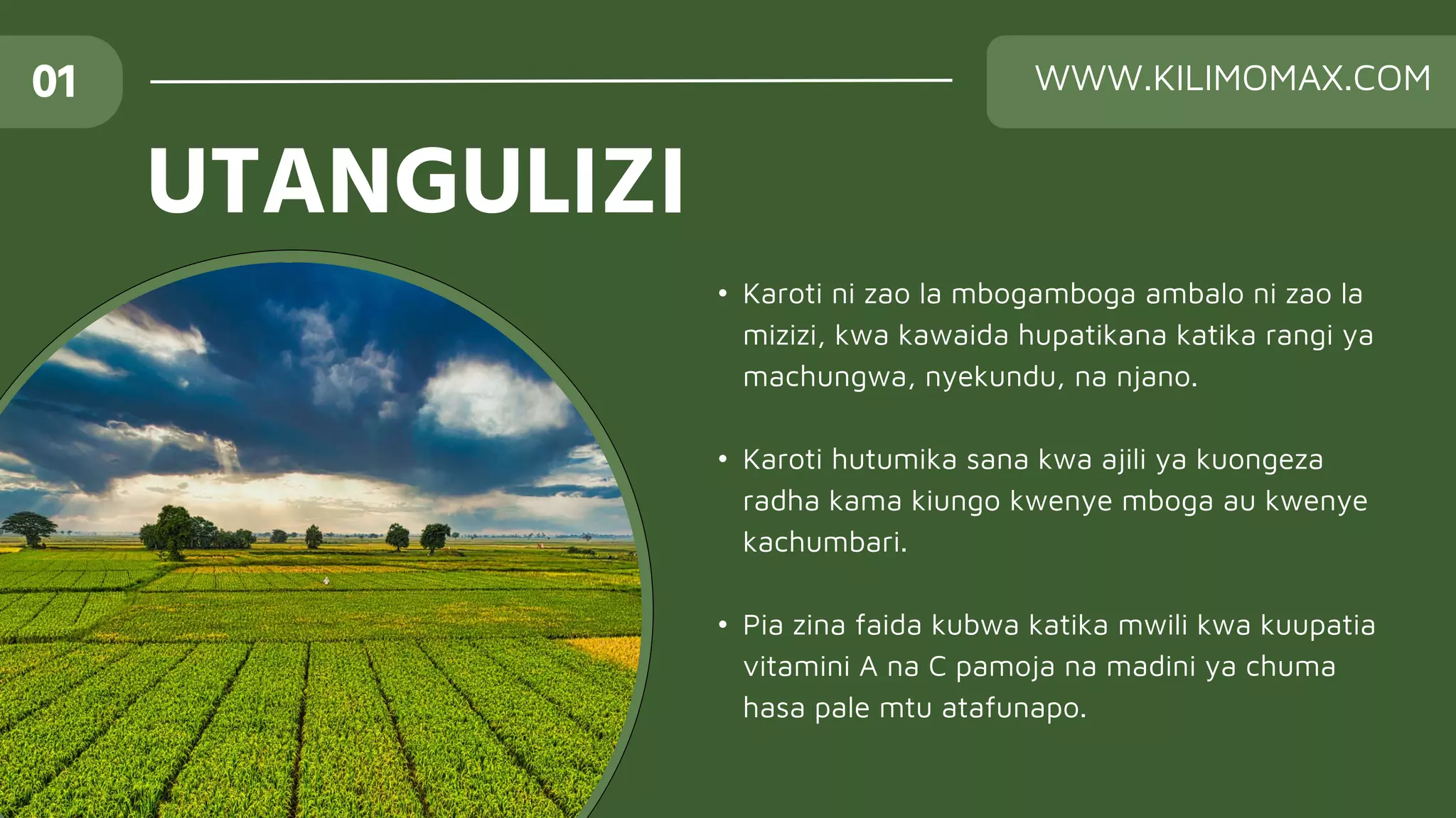 KilimoMax: Kilimo Cha Karoti | PPTX