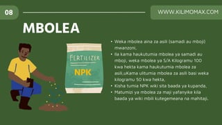 KilimoMax: Kilimo Cha Karoti | PPTX