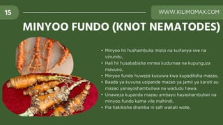 KilimoMax: Kilimo Cha Karoti | PPTX