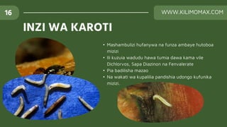 KilimoMax: Kilimo Cha Karoti | PPTX