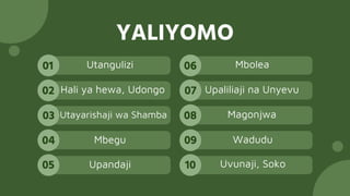 KilimoMax: Kilimo Cha Karoti | PPTX