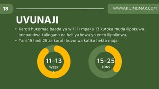 KilimoMax: Kilimo Cha Karoti | PPTX