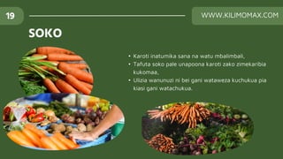 KilimoMax: Kilimo Cha Karoti | PPTX