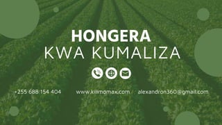 KilimoMax: Kilimo Cha Karoti | PPTX