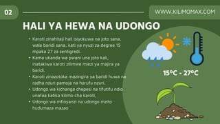 KilimoMax: Kilimo Cha Karoti | PPTX