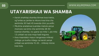 KilimoMax: Kilimo Cha Karoti | PPTX