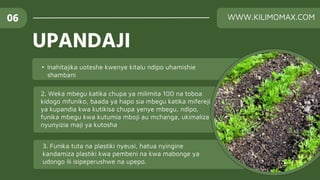 KilimoMax: Kilimo Cha Karoti | PPTX