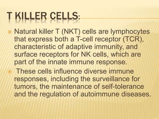 killer cells.ppt