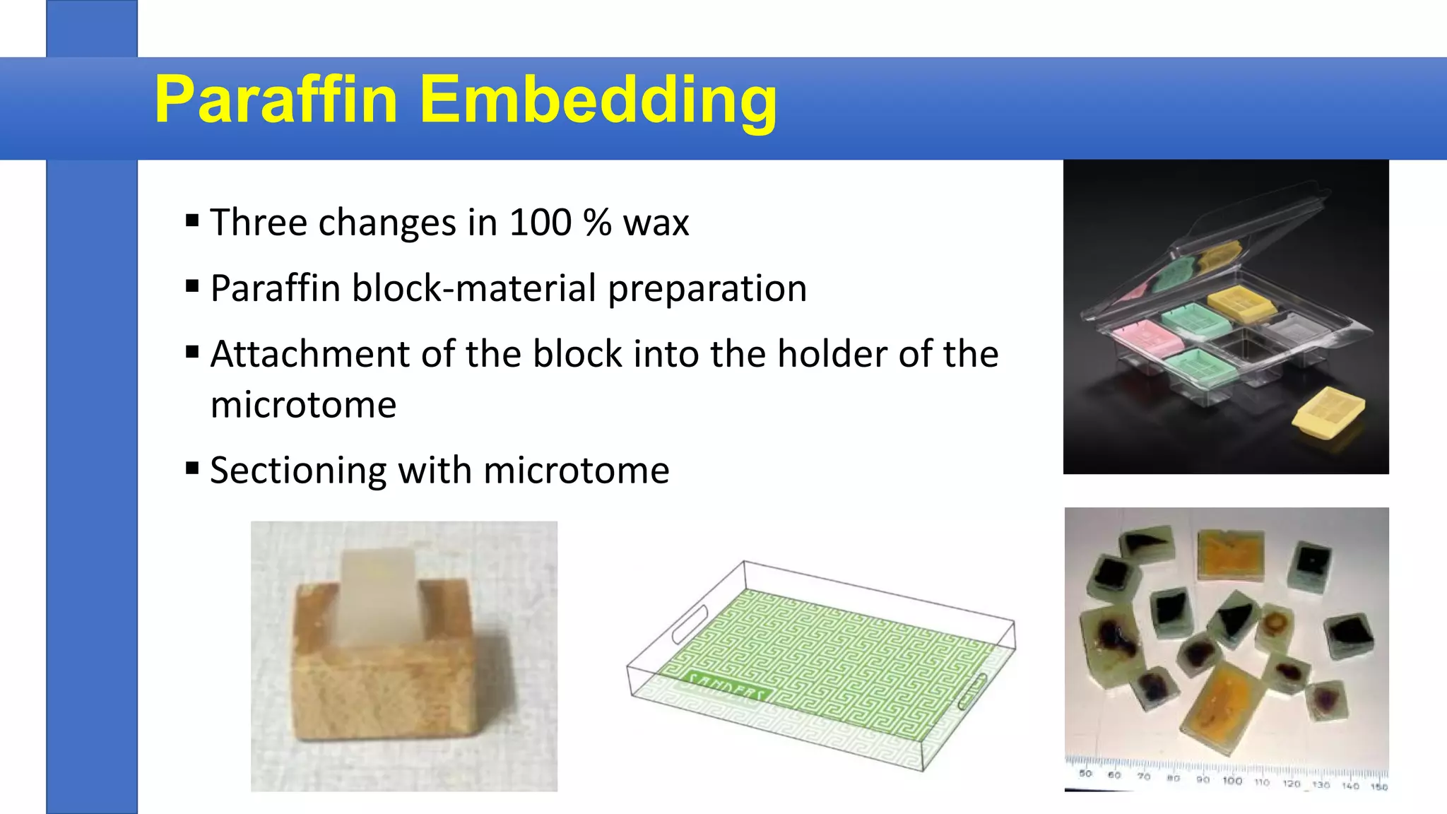 MICROTECHNIQUE Killing and fixation module | PDF