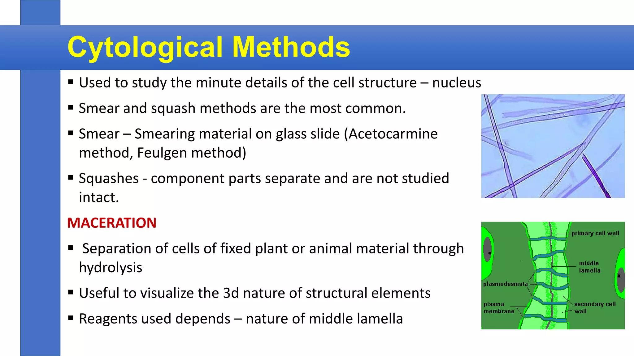MICROTECHNIQUE Killing and fixation module | PDF