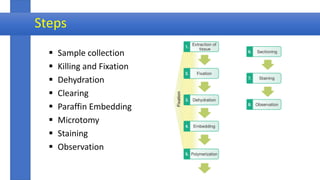 MICROTECHNIQUE Killing and fixation module | PDF