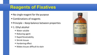 MICROTECHNIQUE Killing and fixation module | PDF